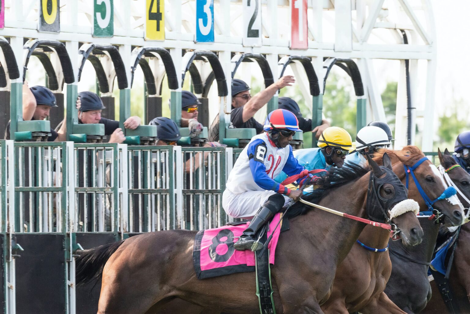 Sports Betting Reaches New Heights With the Arrival of Kiosks